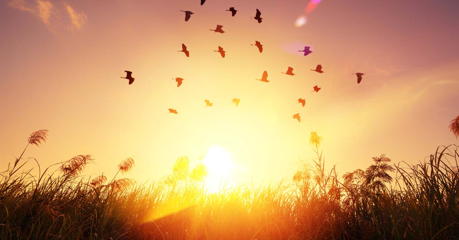 Ethos Green Solutions - Ethos Green Energy